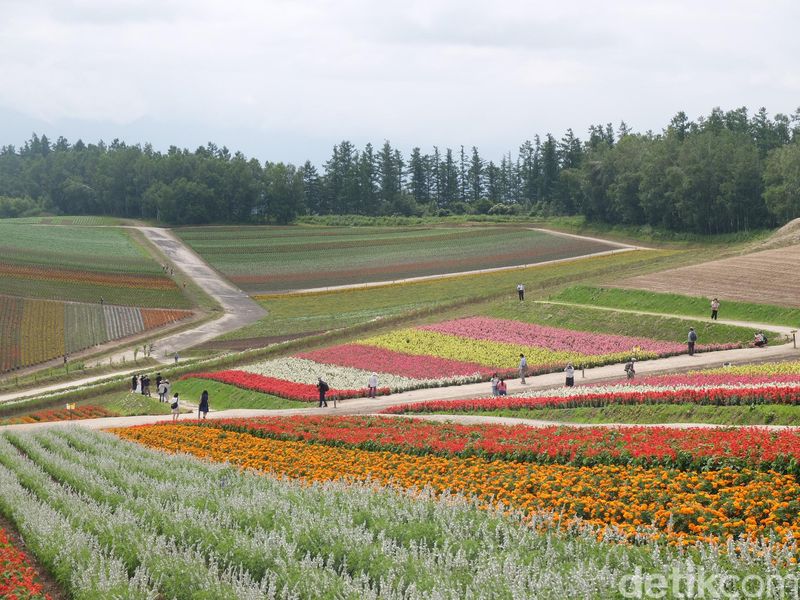 Walau Pohon-pohon Ikoniknya Telah Ditebang, Desa Ini Tetap Diserbu Turis