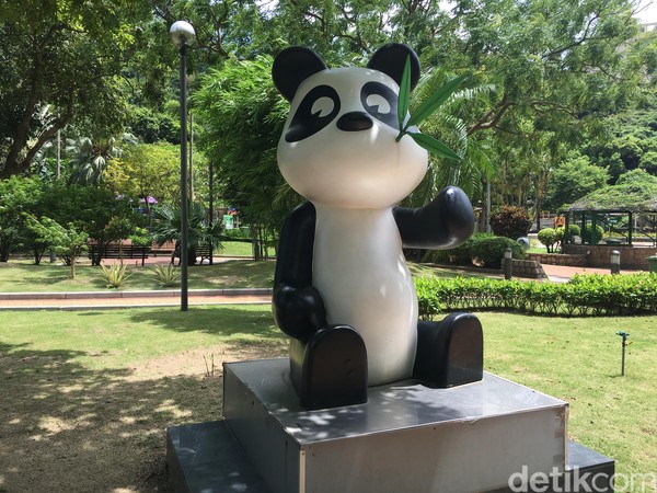Foto: Panda-panda Gembul di Makau