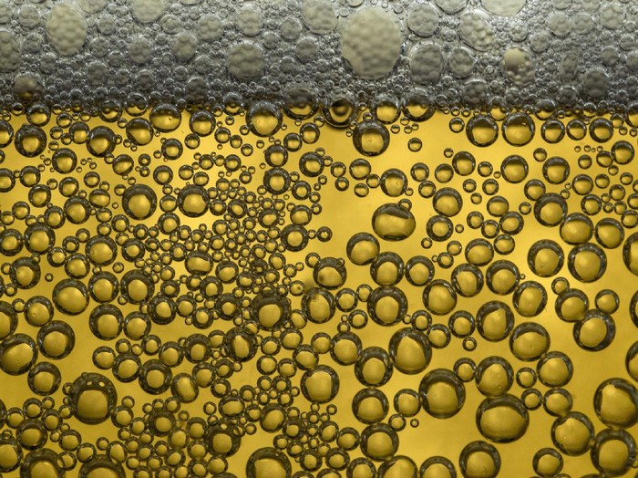 Kalau 10 Gambar Ini Bikin Merinding, Kemungkinan Kamu Punya Trypophobia