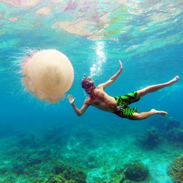 Inspiratif! Traveler Tuna Rungu yang Dapat Menjelajahi Dunia