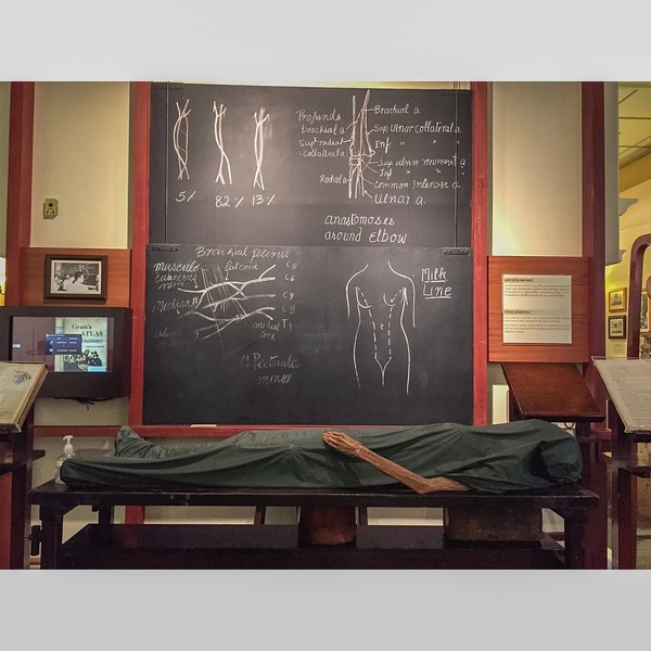 Foto: Jangan Lihat Kalau Takut, Museum Kematian di Bangkok