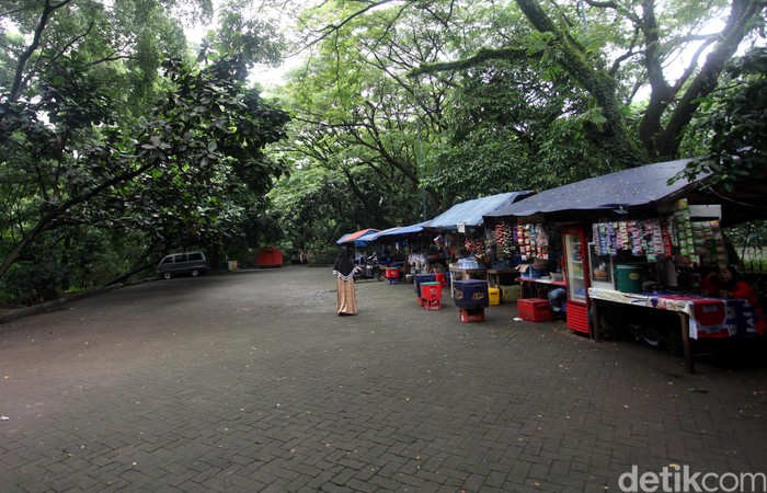 Hutan Kota Srengseng, Alternatif Wisata Alam Jakarta