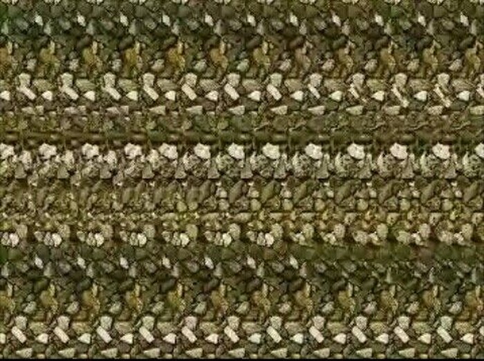 Uji Ketajaman Mata Lewat Stereogram, Bisa Temukan Misterinya?