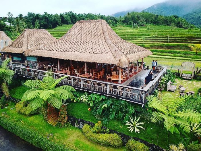 Restoran di Tabanan Ini Suguhkan Pemandangan Hamparan Sawah, Keren! Restoran di Tabanan Ini Suguhkan Pemandangan Hamparan Sawah, Keren!