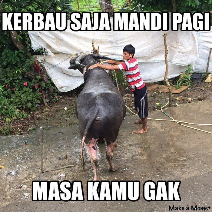 Ini 10 Meme Malas Mandi yang Kocak Abis, Bikin Ngakak!
