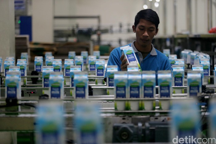 Melihat Pabrik Susu Modern di Malang - Foto 2