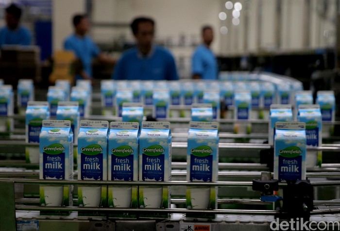 Melihat Pabrik Susu Modern di Malang