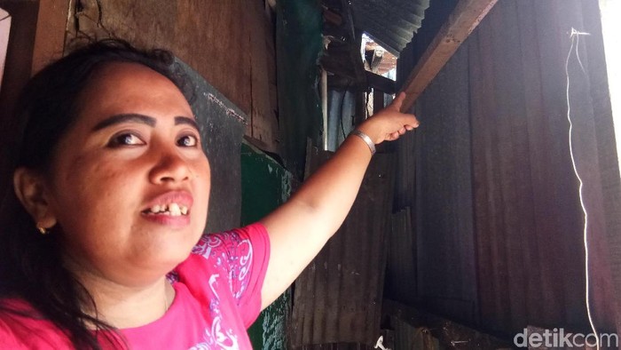 Foto: Ular Piton Tiba-tiba Muncul di Plafon WC Rumah Warga Foto: Ular Piton Tiba-tiba Muncul di Plafon WC Rumah Warga