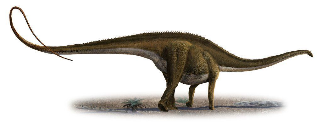 10 Dinosaurus Terbesar Sepanjang Sejarah