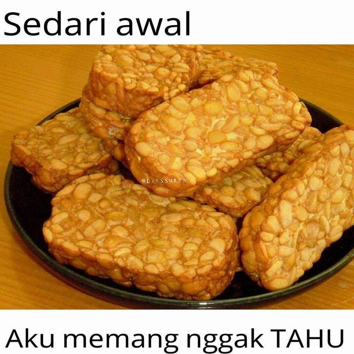 'Dua Bersaudara' Tahu Tempe Jadi Bahan 10 Meme Kocak Ini