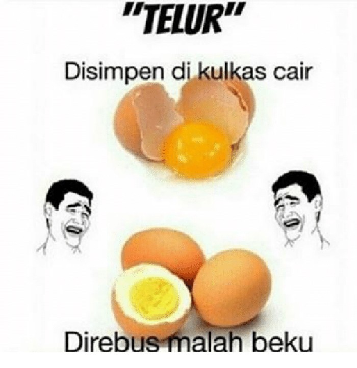 Penggemar Telur, Yuk Intip 10 Meme Telur yang Bikin Ngakak Ini! Penggemar Telur, Yuk Intip 10 Meme Telur yang Bikin Ngakak Ini!