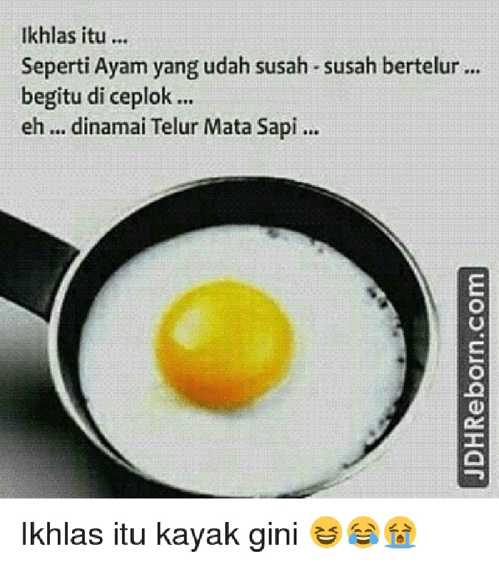 Penggemar Telur, Yuk Intip 10 Meme Telur yang Bikin Ngakak Ini!