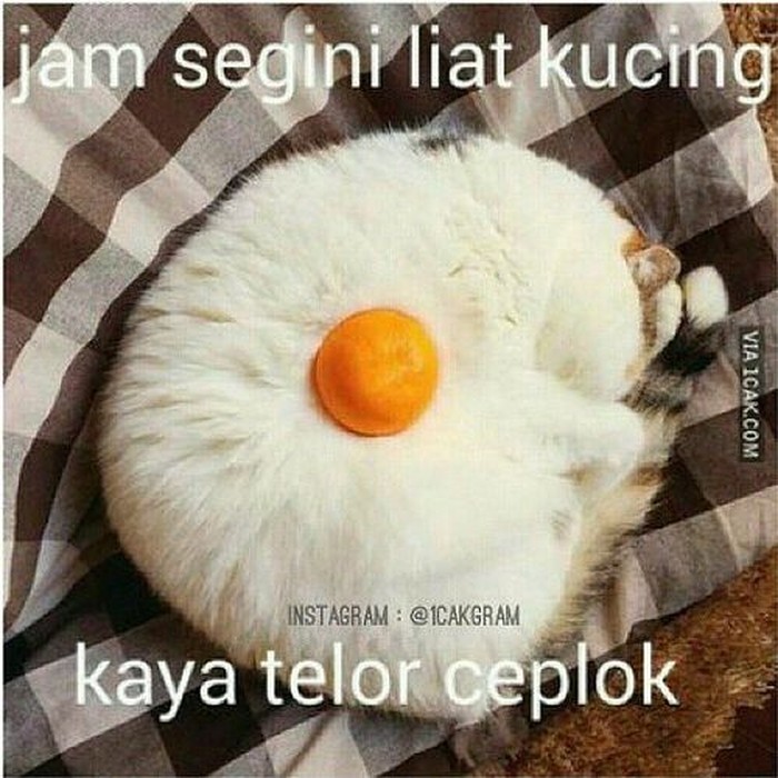 Penggemar Telur, Yuk Intip 10 Meme Telur yang Bikin Ngakak Ini! Penggemar Telur, Yuk Intip 10 Meme Telur yang Bikin Ngakak Ini!