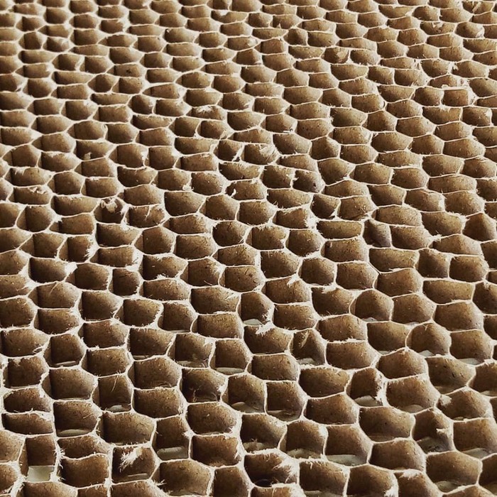 10 Gambar Biasa yang Bikin Pengidap Trypophobia Merinding