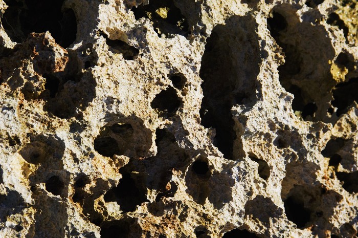 10 Gambar Biasa yang Bikin Pengidap Trypophobia Merinding