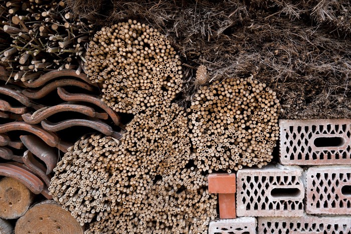 10 Gambar Biasa yang Bikin Pengidap Trypophobia Merinding