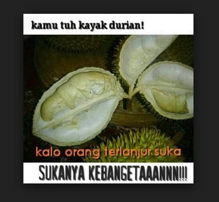 Lihat 10 Meme Durian Ini Bikin Pengen Makan Durian Sambil Senyum Sendiri