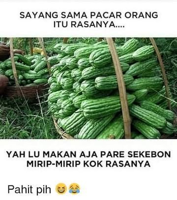 10 Meme Pare Ini Bikin Ketawa Sekaligus Mengingatkan Pahitnya Kehidupan