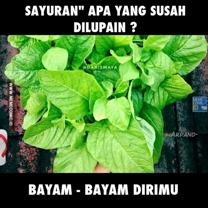 Dari Bawang Sampai Bayam, 10 Meme Sayur Ini Bikin Senyum!
