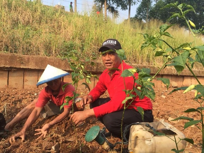 Hortikultura Penyumbang Terbesar Pertumbuhan Sektor Pertanian