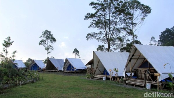 Foto: Kemping Asyik di Bandung Serasa Seperti di Hotel