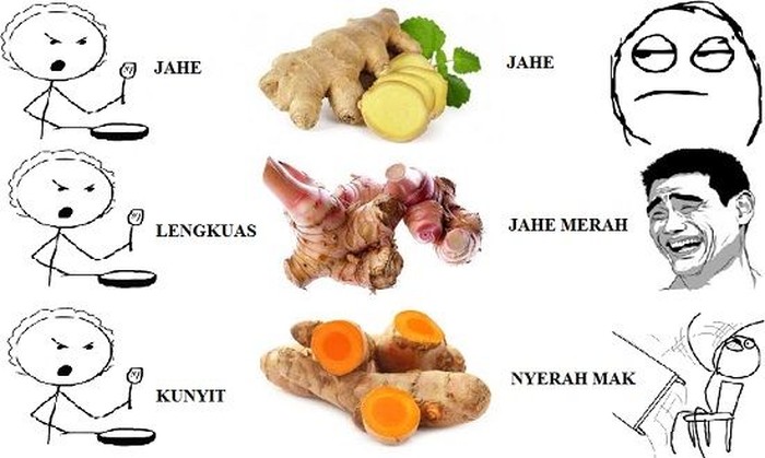 Bumbu Dapur Juga Bisa Bikin Ngakak Kalau Jadi 10 Meme Ini