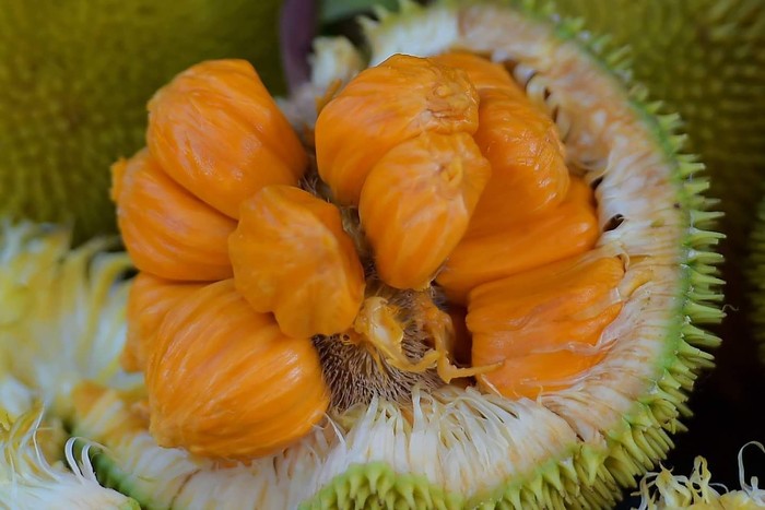 Buah Eksotis dari Pedalaman Kalimantan, Ada Durian Merah