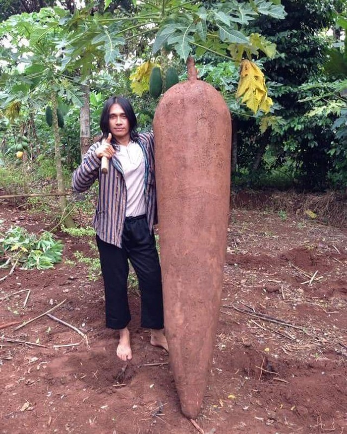 Makan di Warteg hingga Panen Singkong Raksasa, Ini Gaya Nyeleneh Agung ...