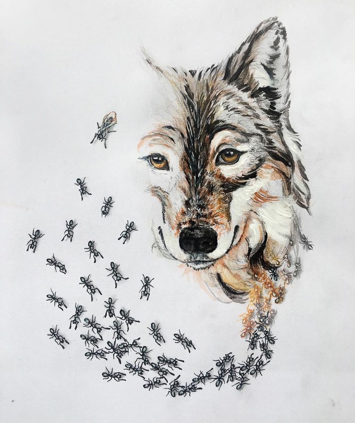 Wow, Lukisan Keren Ini Dibuat dari Iringan Semut yang 'Dipancing' Gula!