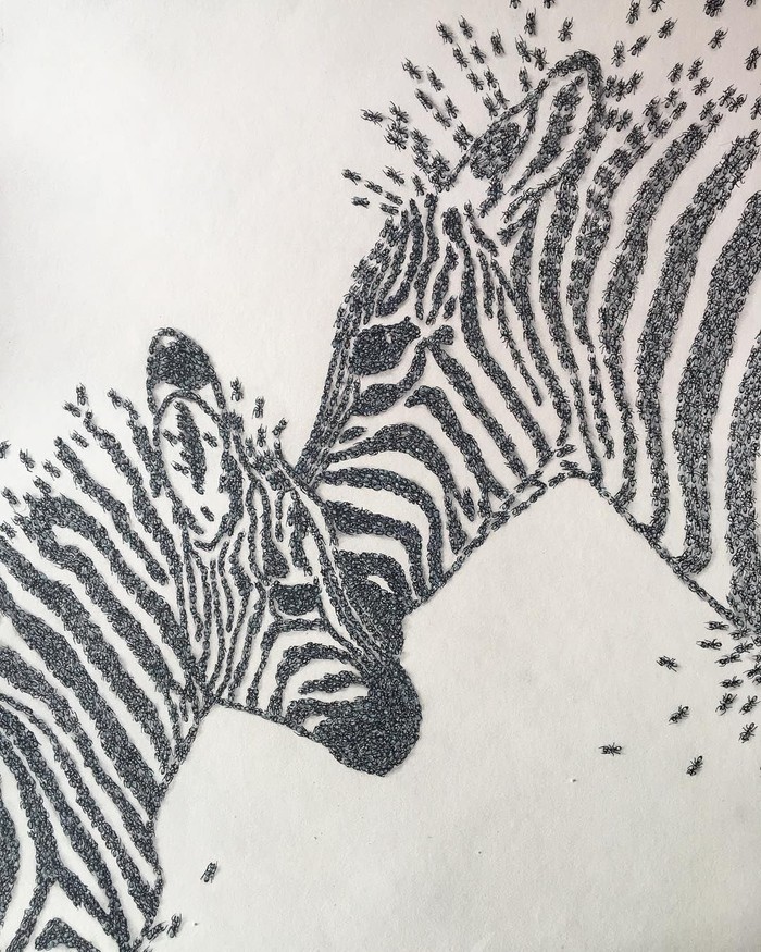 Wow, Lukisan Keren Ini Dibuat dari Iringan Semut yang 'Dipancing' Gula!