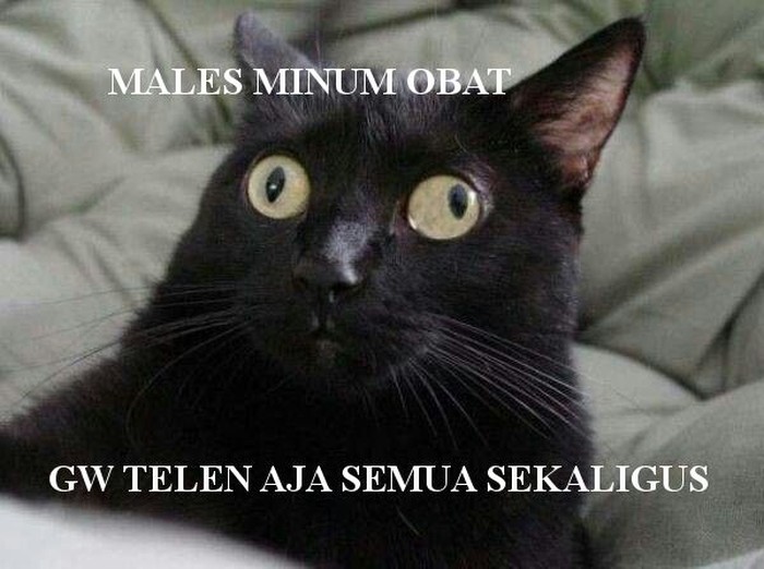 Kumpulan Meme 'Receh' Buat Kamu yang Susah Minum Obat