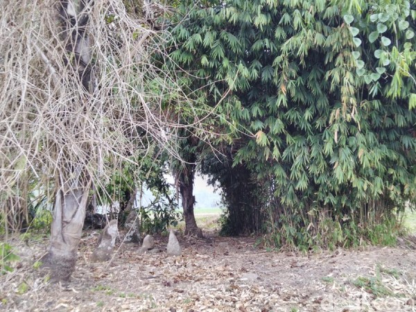 Foto: Batu Meriam di Ciamis Punya Mitos Pertanda Kejadian Besar