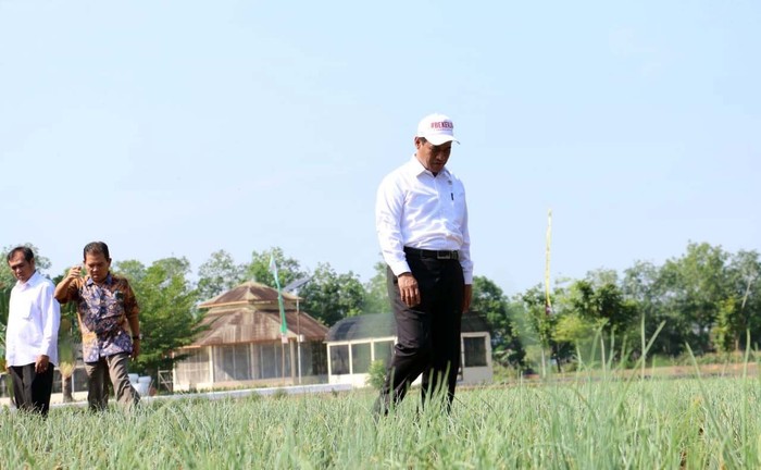 Ini Penampakan Lahan Rawa untuk Pertanian di Kalsel