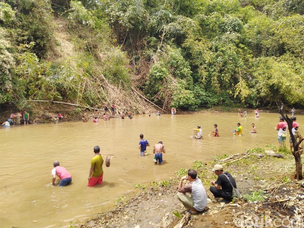 Foto: Jagoan! Tradisi Tangkap Ikan Pakai Tangan Kosong di Ciamis