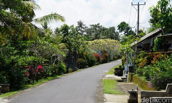 Foto: Kesejukan Desa Wisata Nyambu yang Instagramable