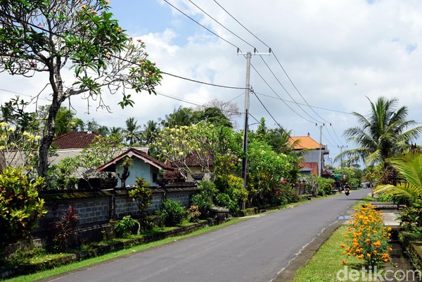 Foto: Kesejukan Desa Wisata Nyambu yang Instagramable