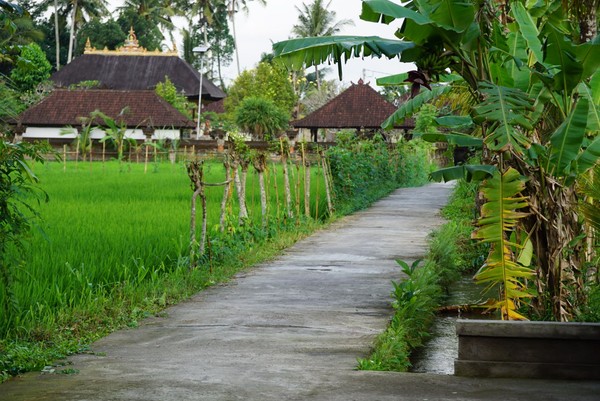 Foto: Kesejukan Desa Wisata Nyambu yang Instagramable