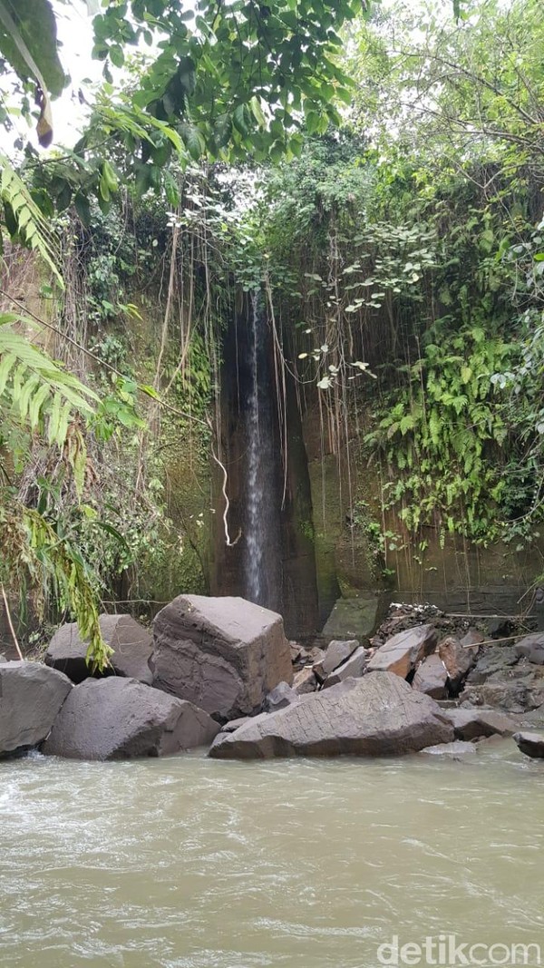 Foto: Air Terjun & Bunga Bangkai Unik di Bali