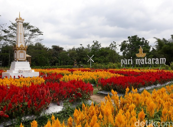 Foto: Taman Bunga Cantik Bak di Eropa, Padahal di Yogya