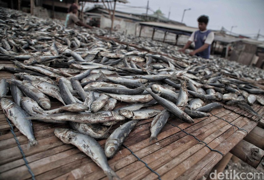 Kebanyakan Makan Ikan Asin Bisa Picu Kanker, Begini Mencegahnya Kebanyakan Makan Ikan Asin Bisa Picu Kanker, Begini Mencegahnya