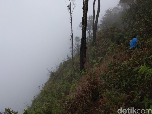 Foto: Liburan Naik Gunung Burangrang