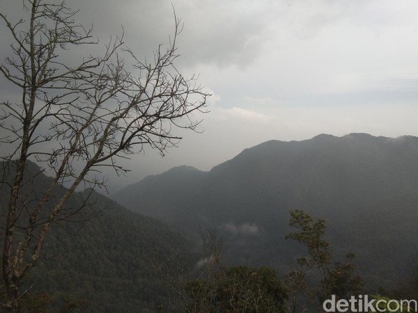 Foto: Liburan Naik Gunung Burangrang