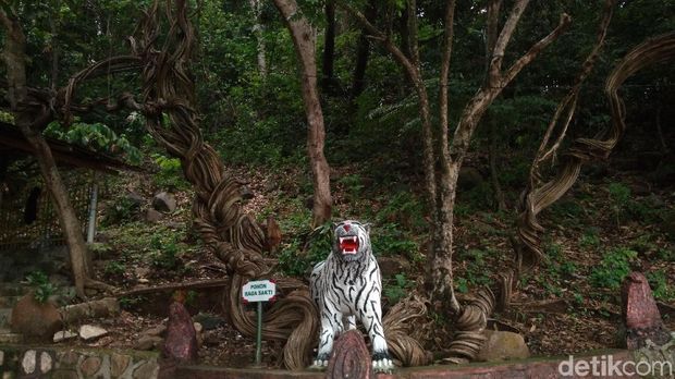 Raga Sakti, Pohon Keramat Peninggalan Pangeran Cakrabuana Raga Sakti, Pohon Keramat Peninggalan Pangeran Cakrabuana