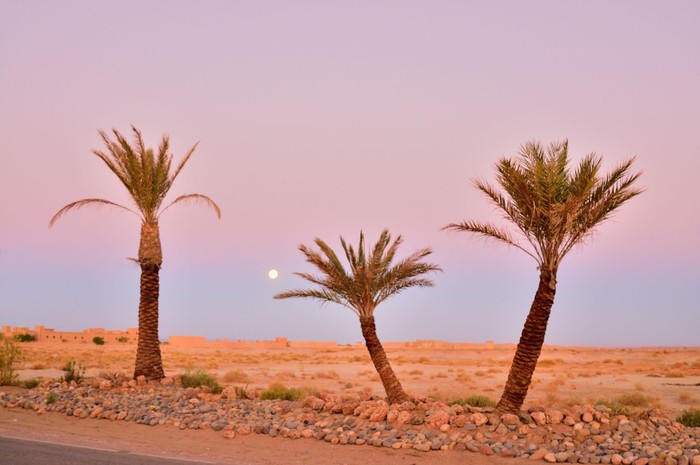 Gurun Sahara Viral di TikTok, Ada Foto Pria Bercinta Gurun Sahara Viral di TikTok, Ada Foto Pria Bercinta