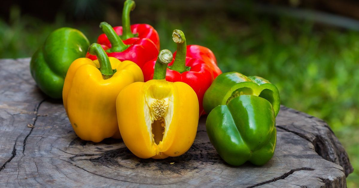 Ini Daftar 12 Makanan yang Tidak Perlu Disimpan dalam Kulkas Ini Daftar 12 Makanan yang Tidak Perlu Disimpan dalam Kulkas