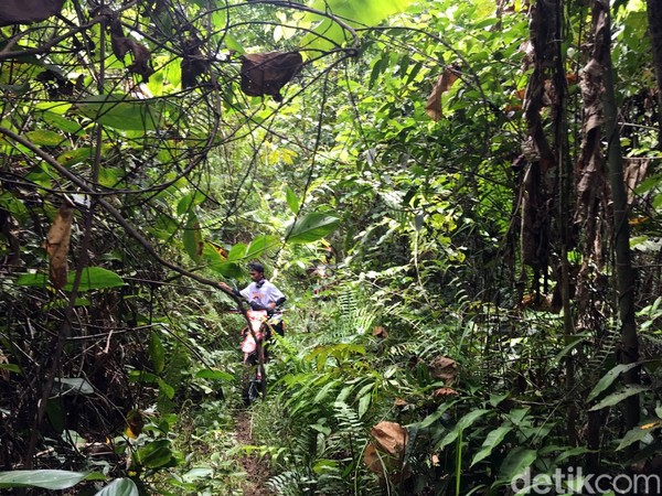 Foto: Air Terjun Tersembunyi di Polewali Mandar