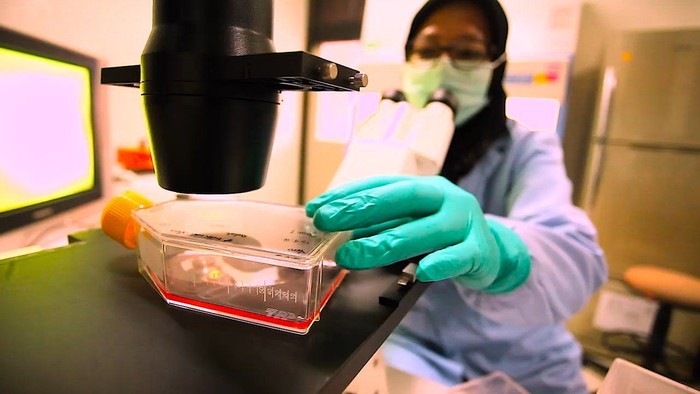 Penampakan 'Test Pack' Diagnosis DBD yang Viral di Medsos