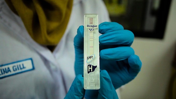 Penampakan 'Test Pack' Diagnosis DBD yang Viral di Medsos