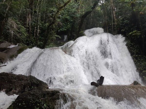 Foto: Eksotisme Air Terjun Perawan di Papua