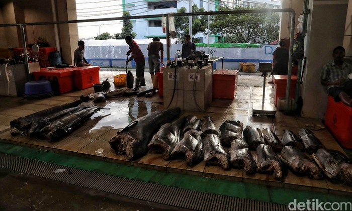 Penampakan Suasana Pasar Ikan Modern Muara Baru